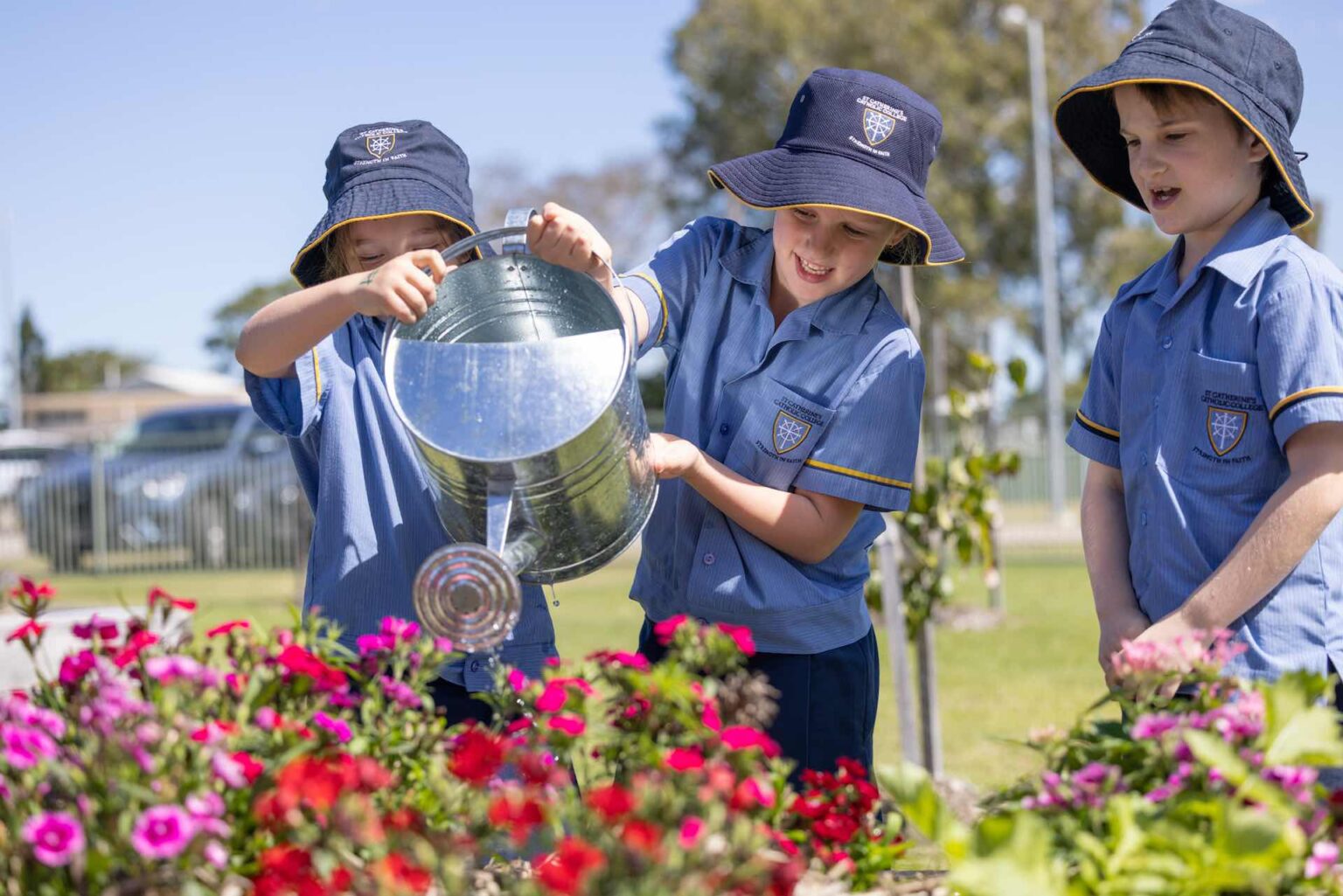 St Catherine's Catholic College The Whitsundays, Proserpine QLD ...