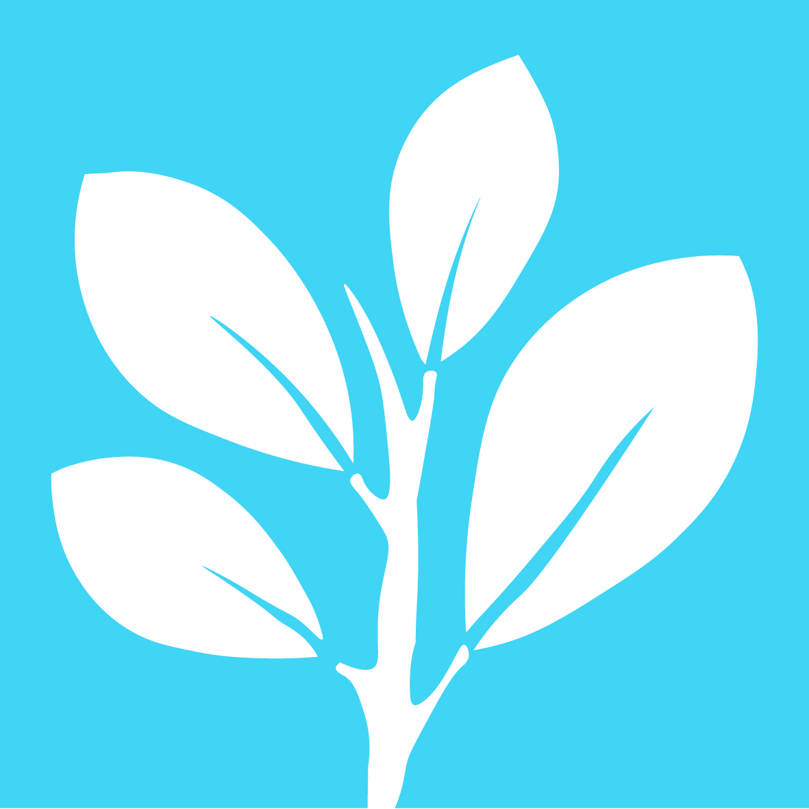 Marymede Catholic College, South Morang VIC | Catholic Schools Guide